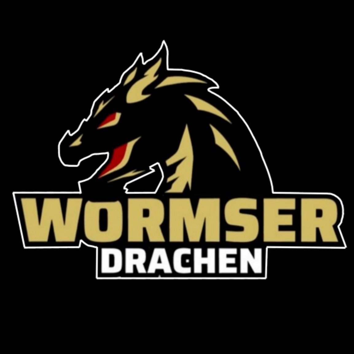 🐉 HSG Worms - Wormser Drachen Vereinskleidung & Merch 🐉 – Handballliebe